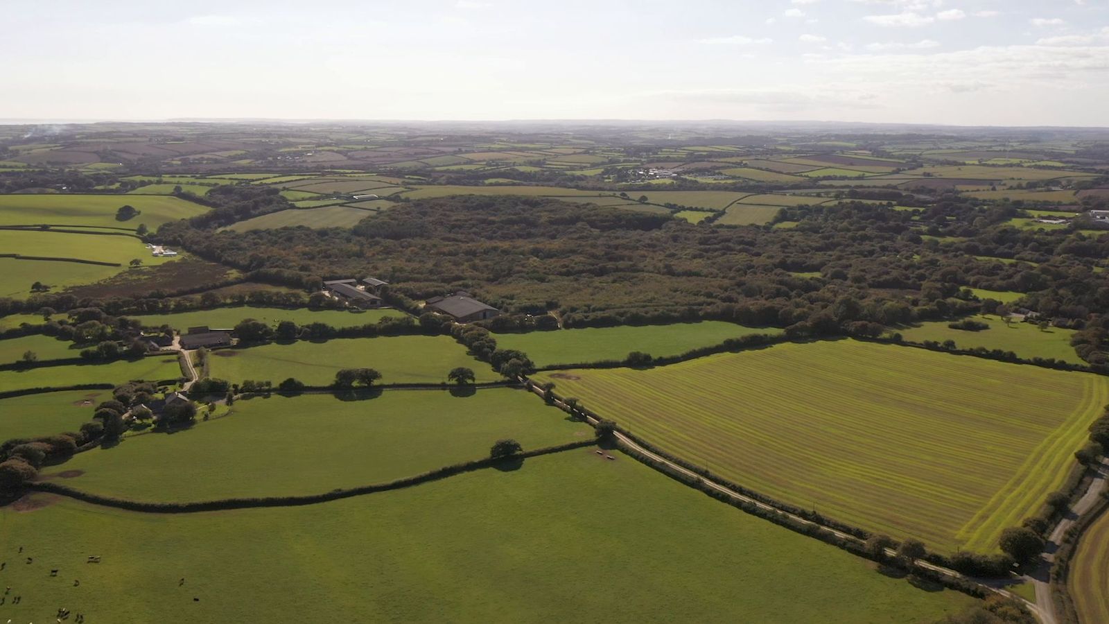 Police search for human remains in Cornwall enters fourth month | UK ...