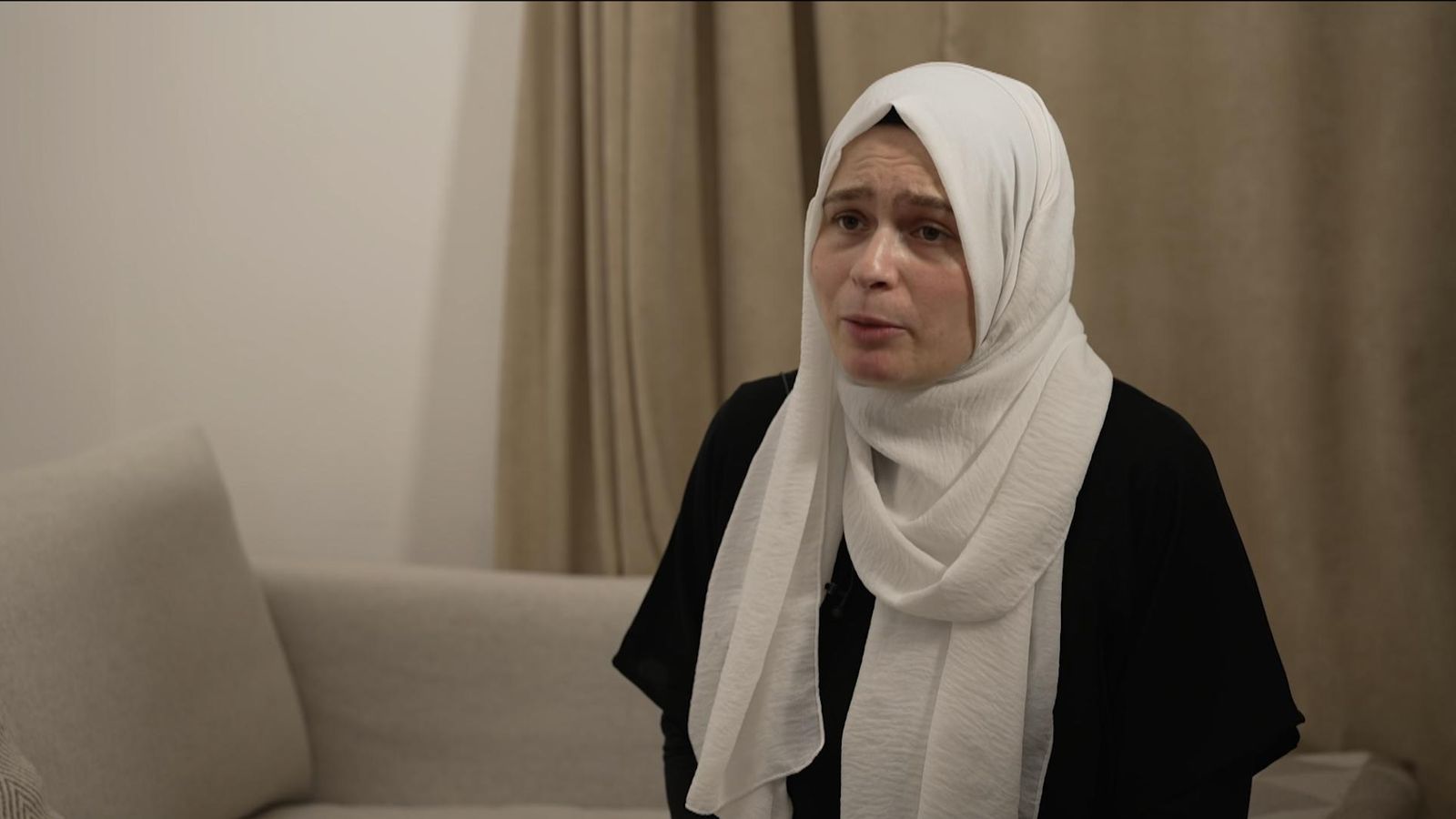 Wife of detained British political commentator in US speaks to Sky News ...