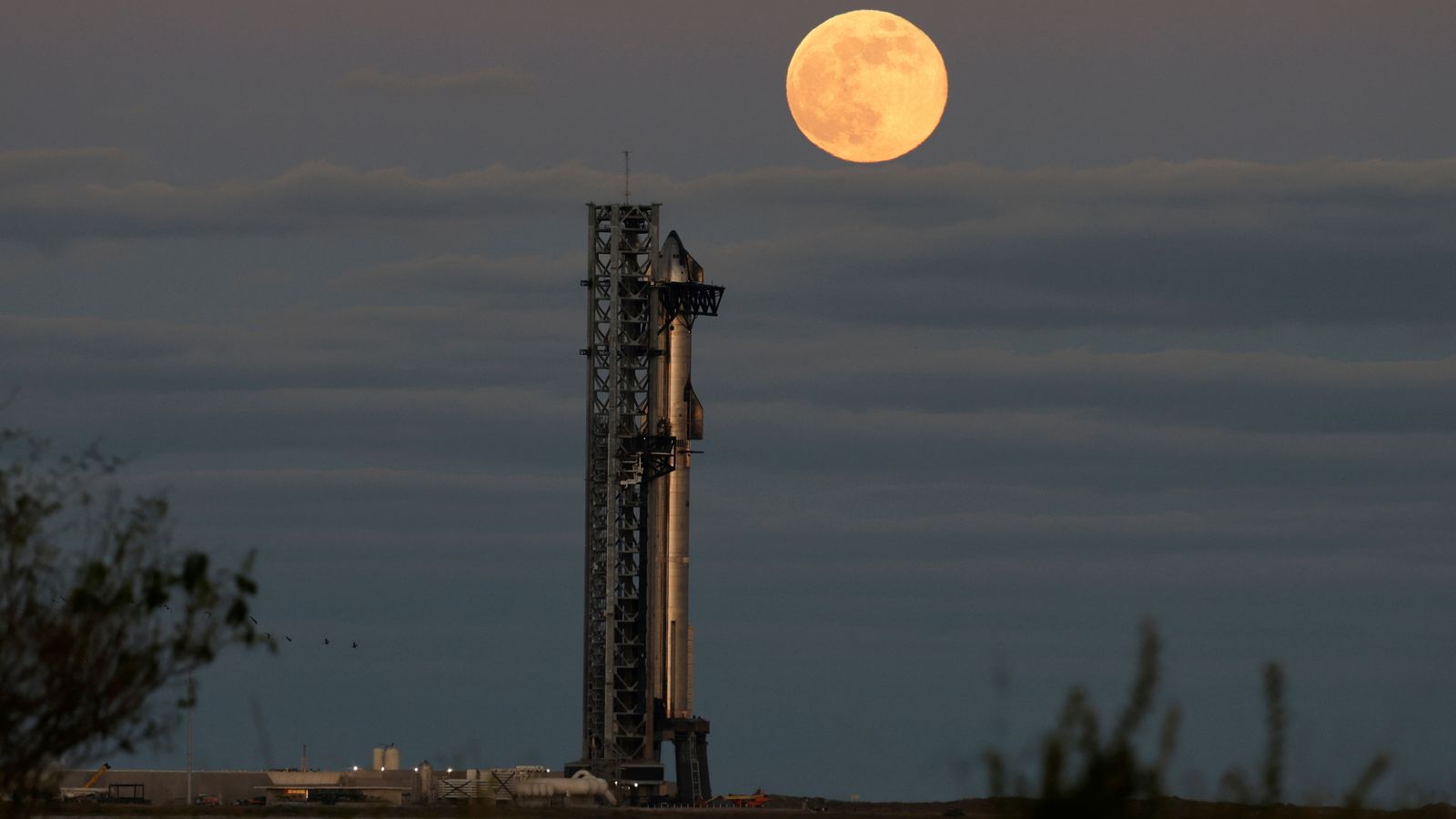 How and when to see the beaver supermoon - the biggest full moon of the ...