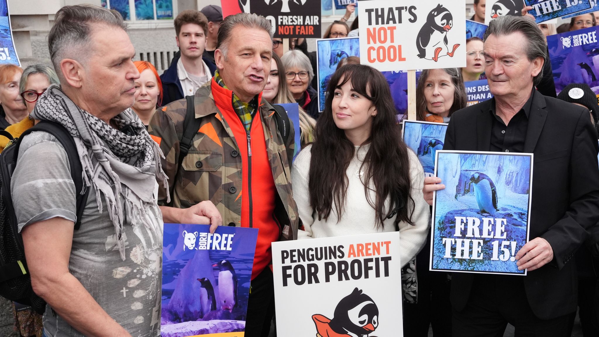 Pressure grows to release 15 penguins 'trapped in basement without ...