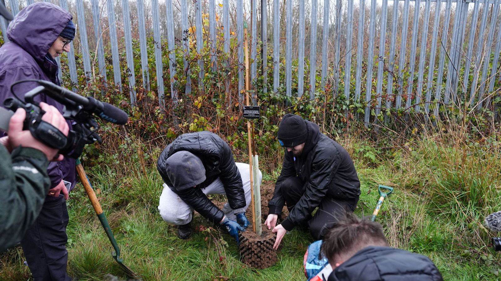First saplings planted from felled Sycamore Gap tree | UK News | Sky News