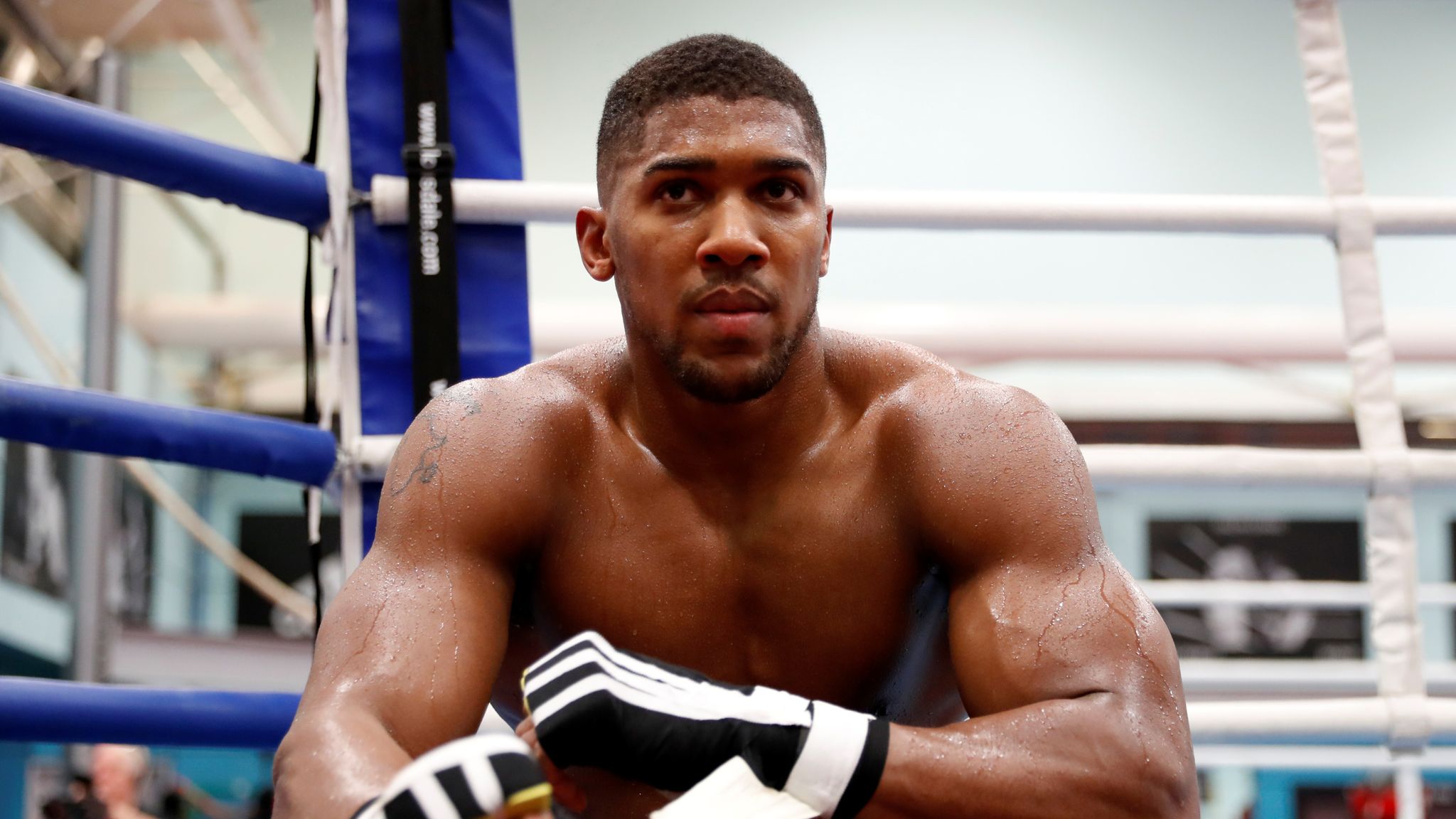 Anthony Joshua 'about to break the internet over Jake Paul's face' in ...