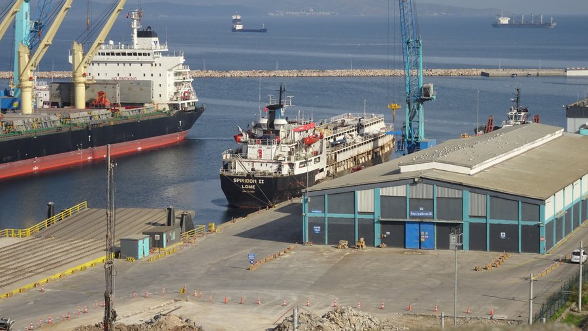 Stranded ship carrying nearly 3,000 cattle now at sea for 55 days ...