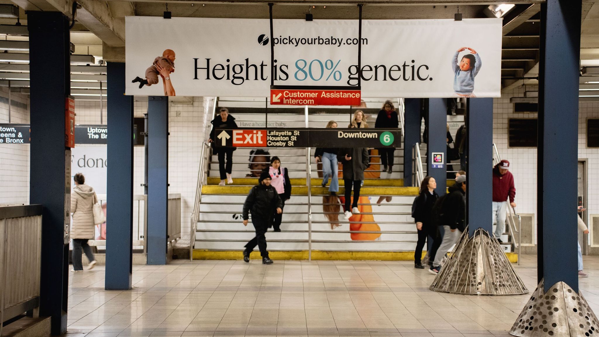 Genetics testing start-up offers to 'genetically optimise' would-be ...