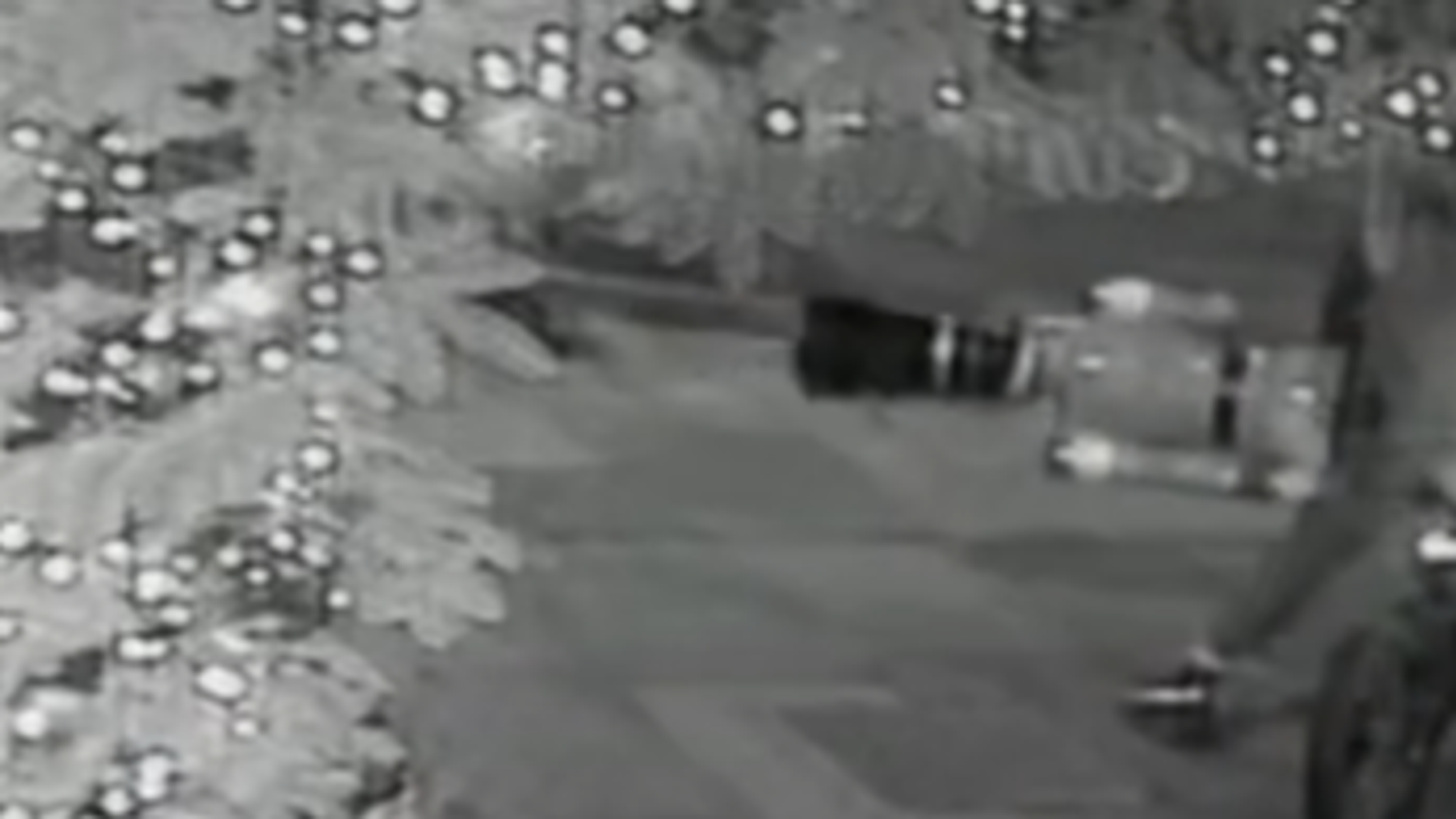 Have you seen this nutcracker? CCTV shows thief stealing festive statue ...