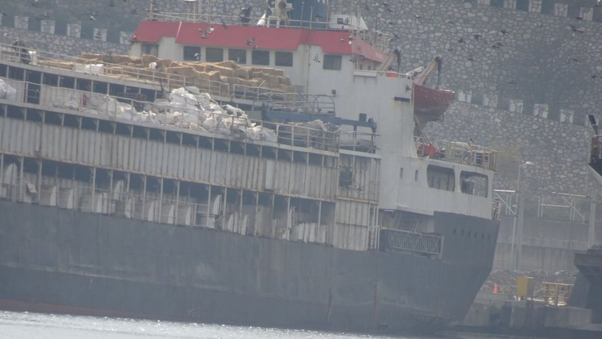 Stranded ship carrying nearly 3,000 cattle now at sea for 55 days ...