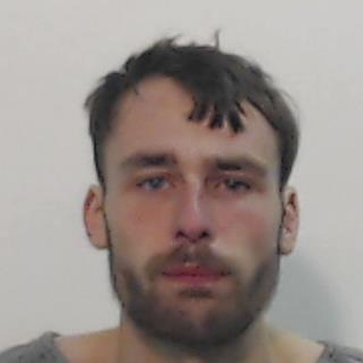 Steven Hutton: Three men and one woman jailed over 'frenzied' Dundee ...