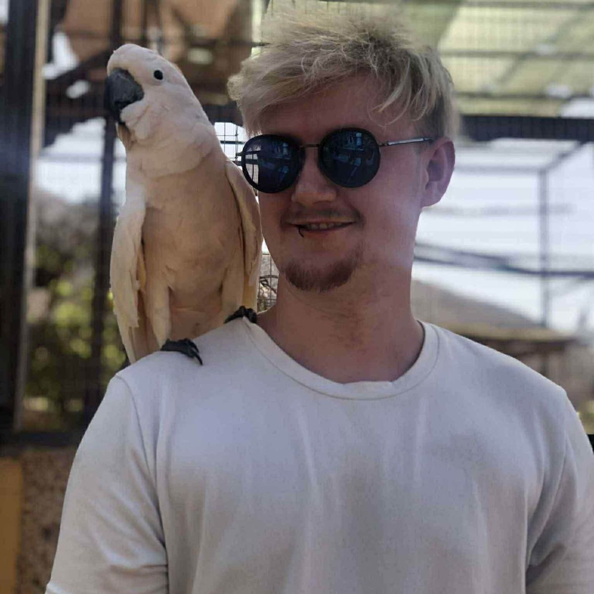 Jay Morrison and Bethany Wilson: Family tributes to couple killed in ...