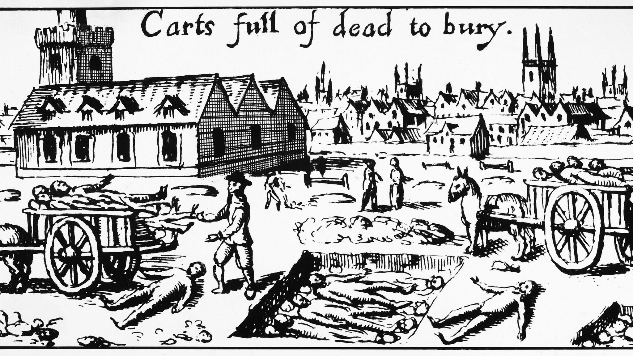 Rats and fleas get blamed for the Black Death - but here's how it could ...