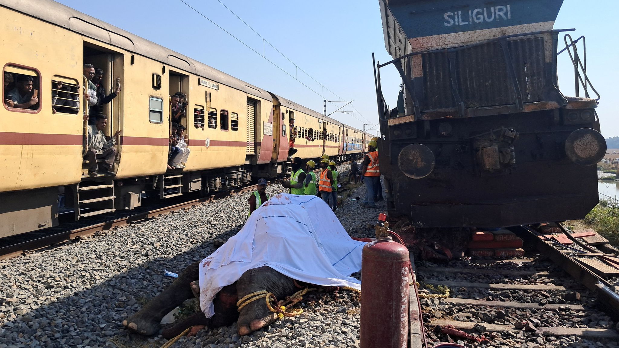 Indian high-speed train hits and kills seven elephants | World News ...