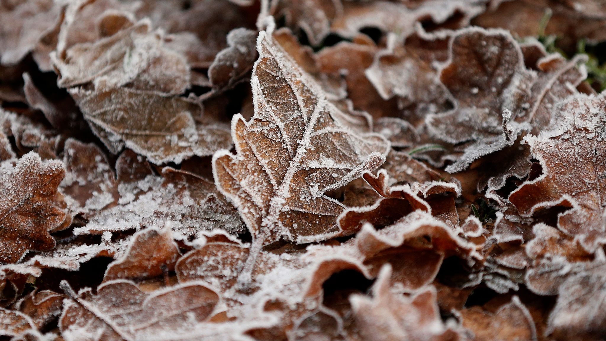 Health alert still in force as cold weather set to continue | UK News ...
