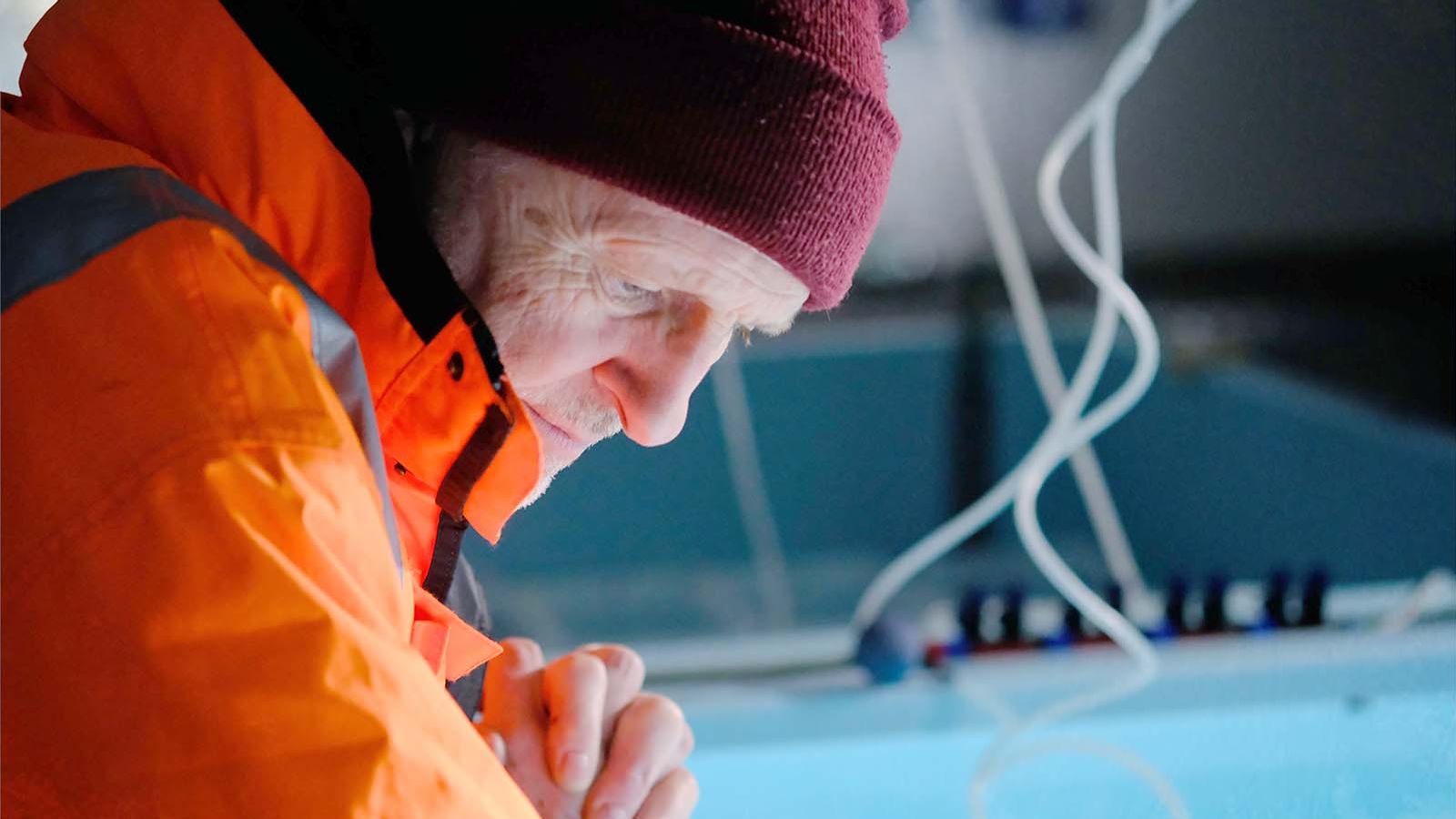 Underwater tsunamis and the Doomsday Glacier: Why Antarctica could hold ...