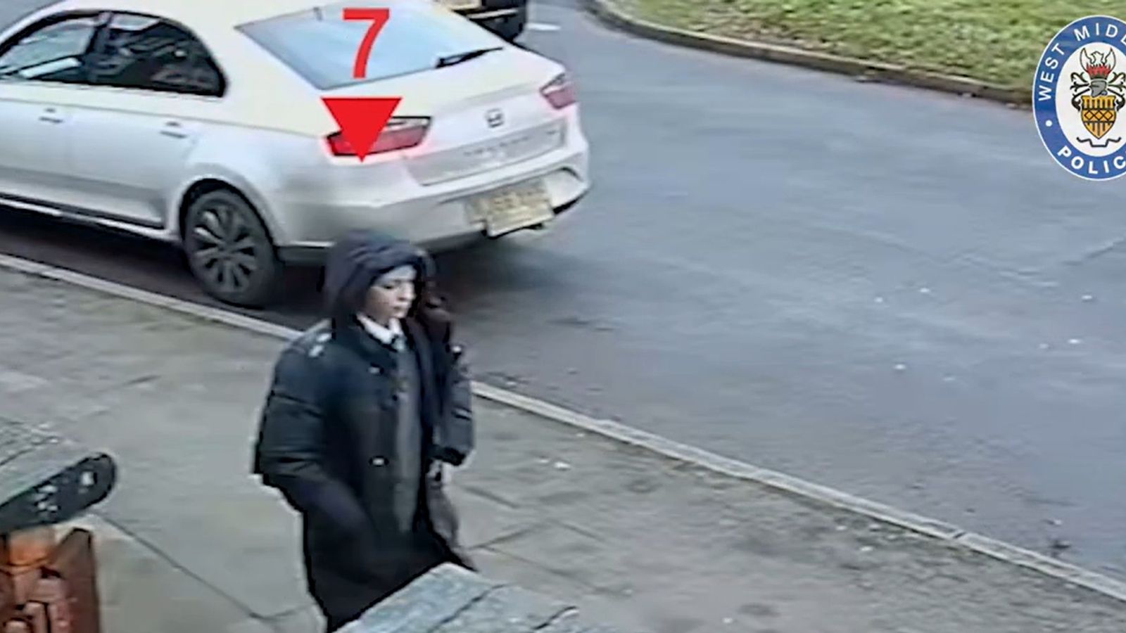 Teenager pleads guilty to murder of 12-year-old boy Leo Ross in ...