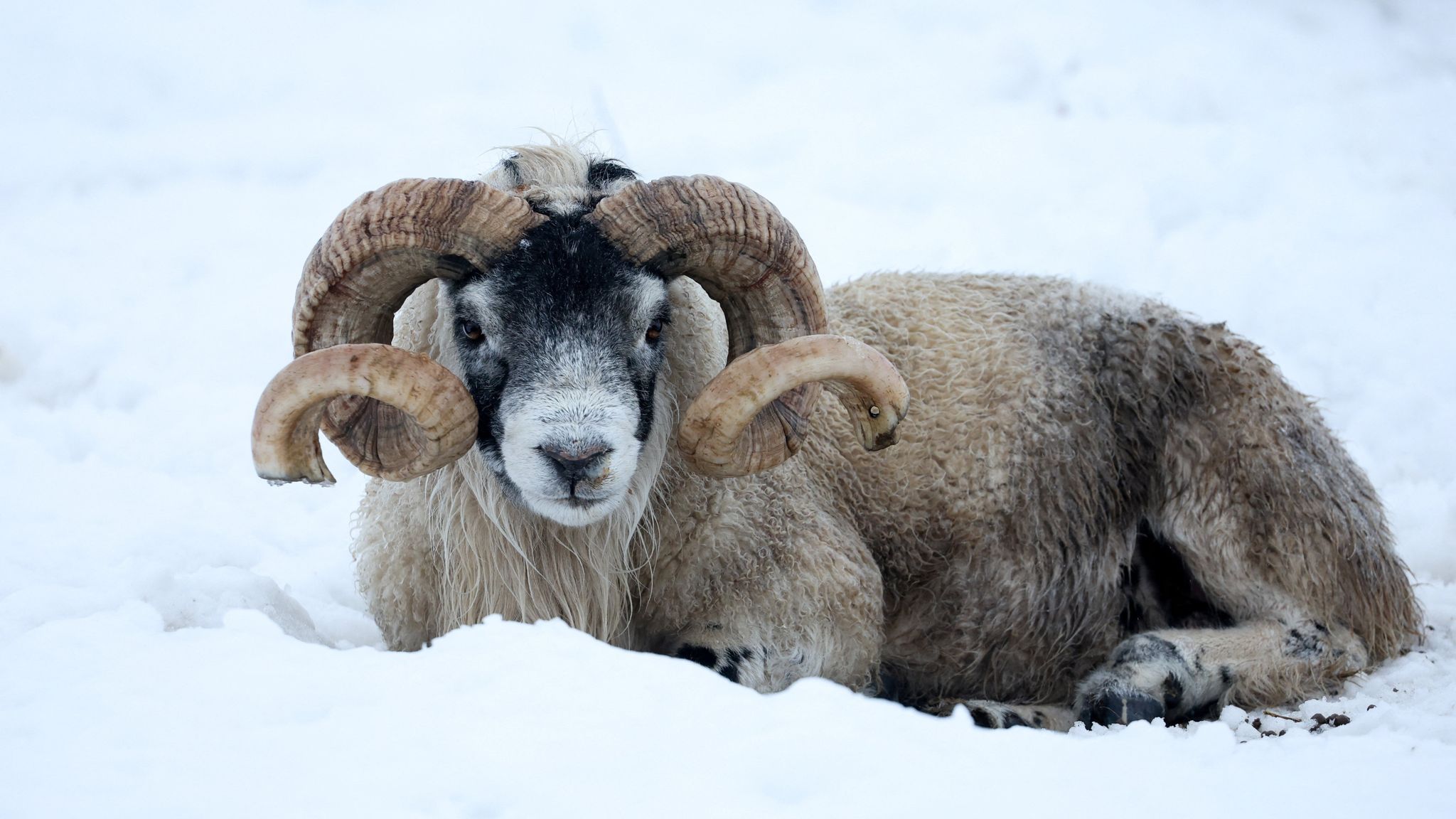 Heavy rain and melting snow could cause flooding in wake of Storm ...