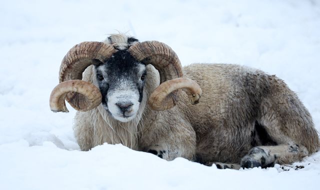 Heavy rain and melting snow could cause flooding in wake of Storm ...