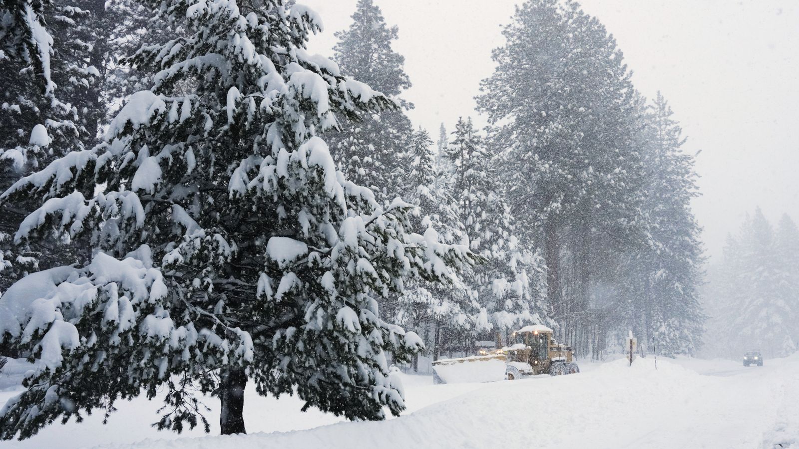 Californian avalanche: rescuers reach six stranded skiers, with nine ...