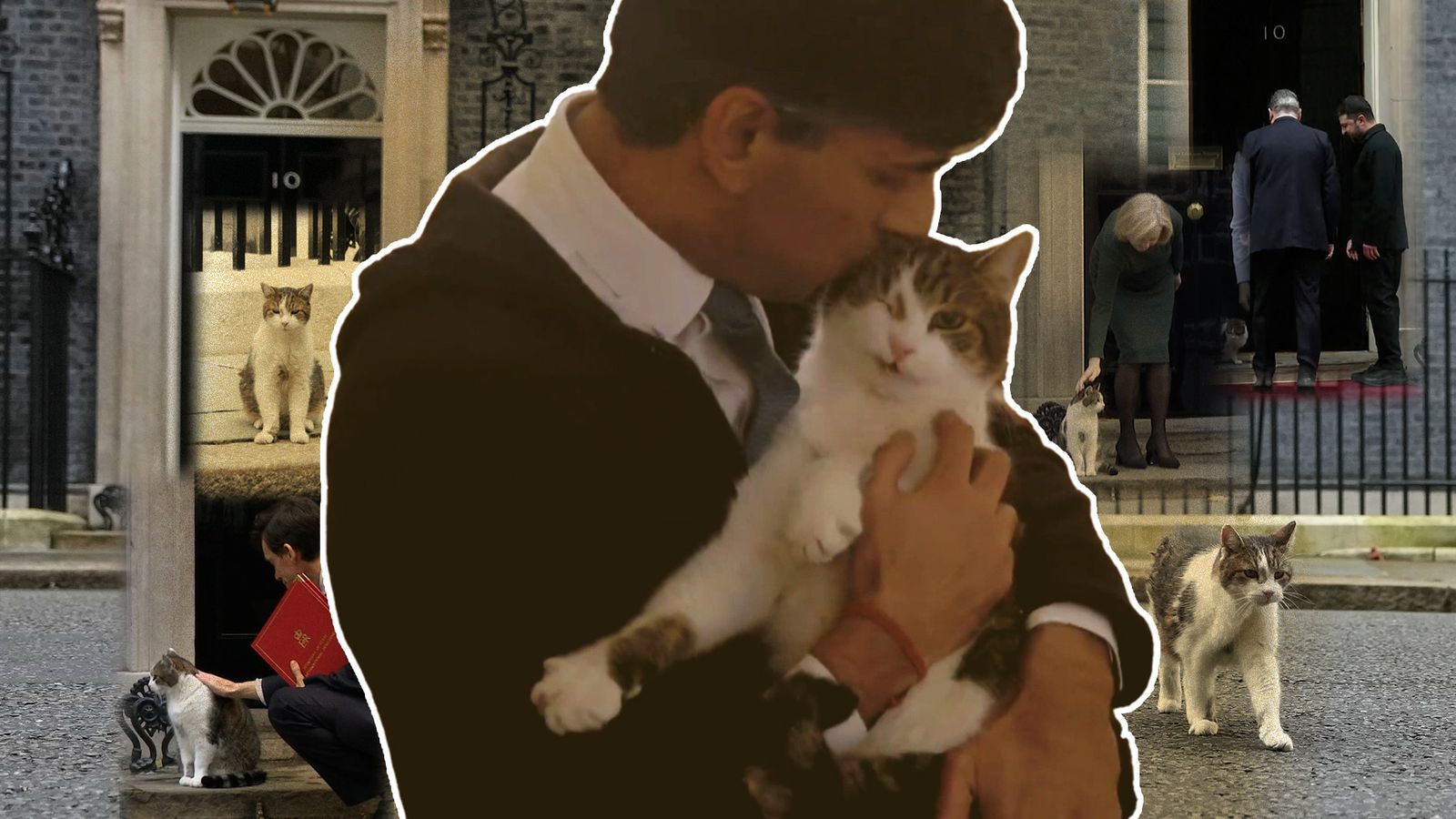 Larry the Cat’s best moments from his 15 years in Downing Street | UK ...