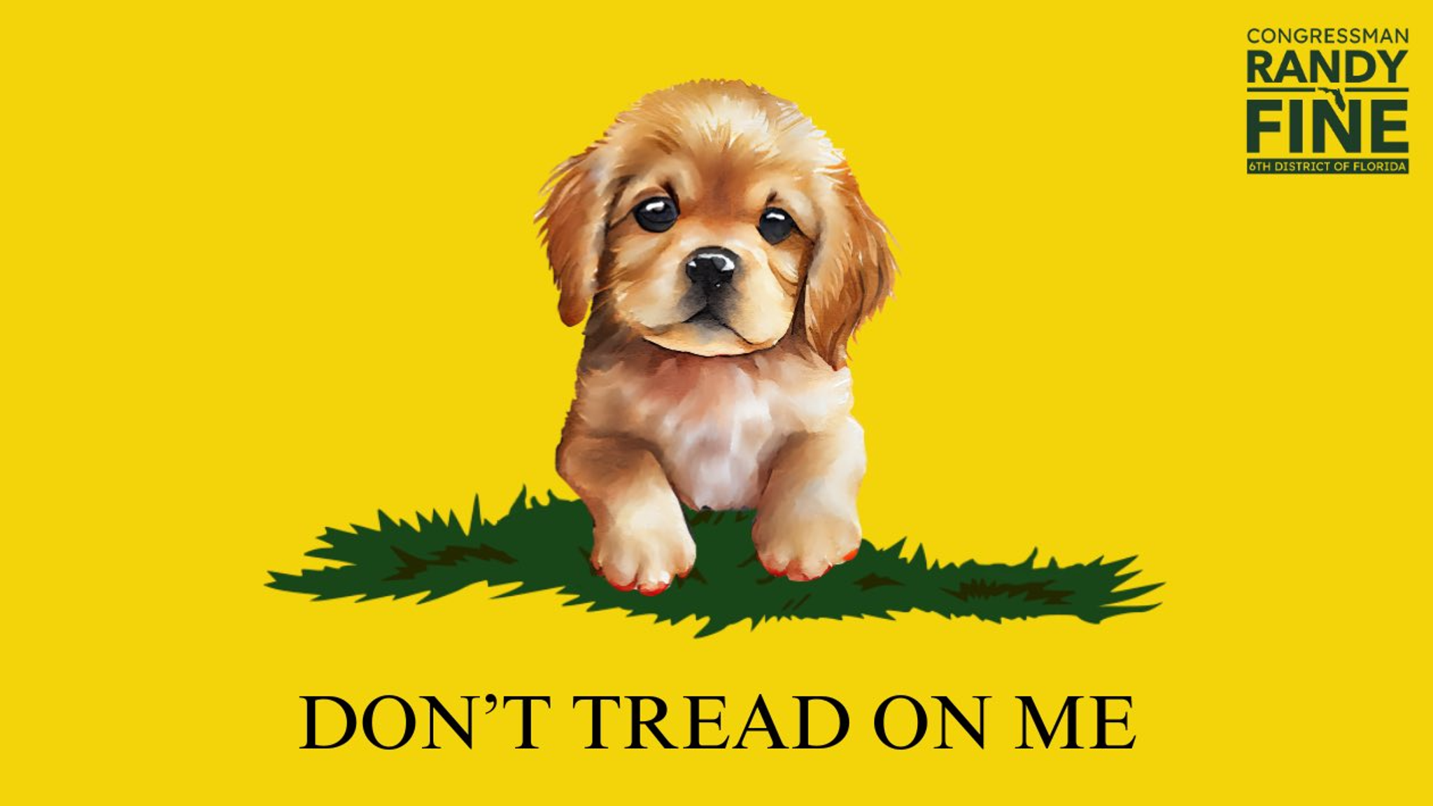 Calls for US congressman Randy Fine to quit for suggesting he would ...