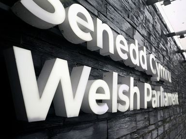 Senedd - The Latest News from the UK and Around the World | Sky News