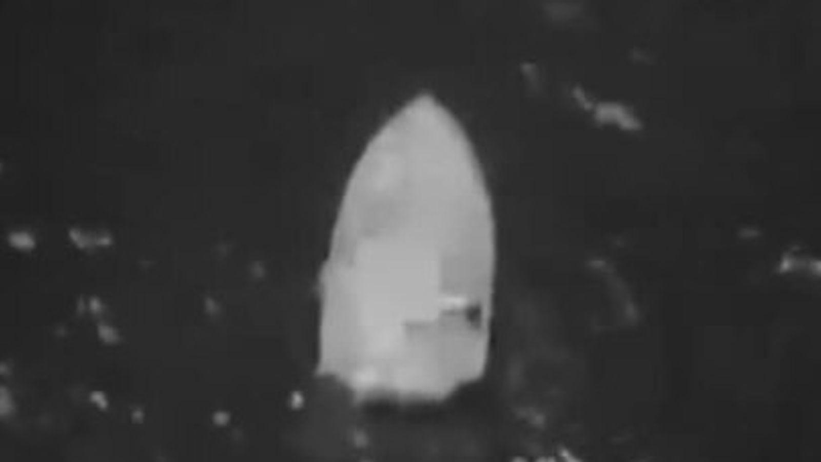 Moment US lethally strikes 'narco-terrorist' boat | World News | Sky News