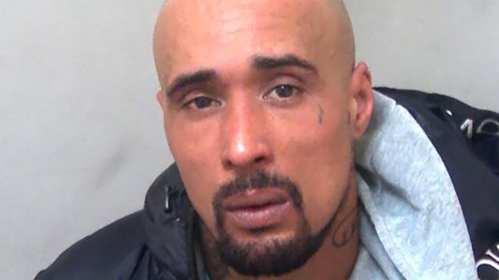 Aspiring rapper jailed for owning XL bully dogs that mauled ex-partner ...