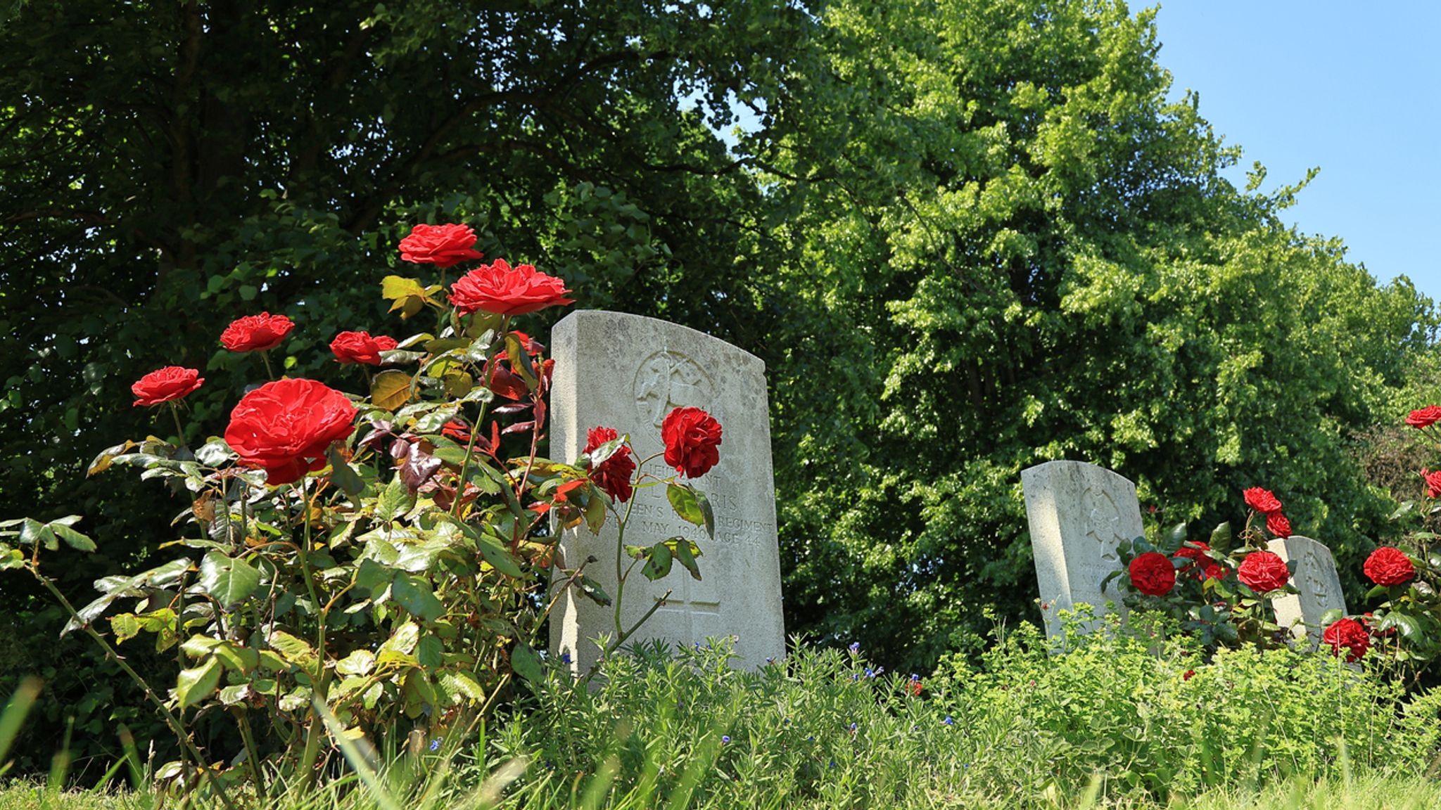 Graves over a century old could be reused amid shortage of burial space ...