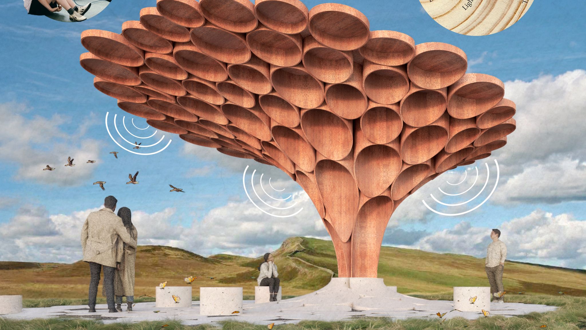 What future do you want for Sycamore Gap tree? Vote now on what's next ...