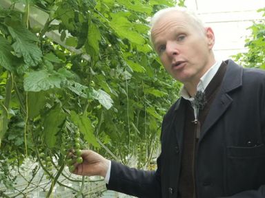 Food - The Latest News from the UK and Around the World | Sky News