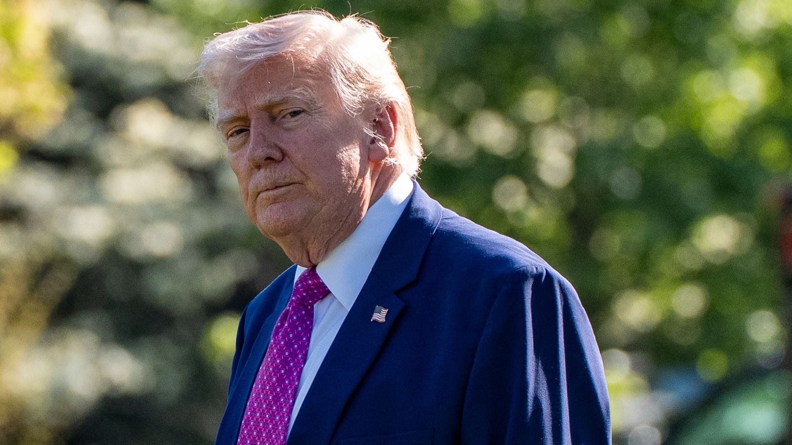 Donald Trump's NATO comments 'not wise', says Dutch armed forces chief ...
