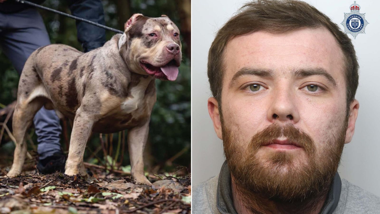 XL bully owner Sean Garner sentenced to 12 years after dog mauled ...