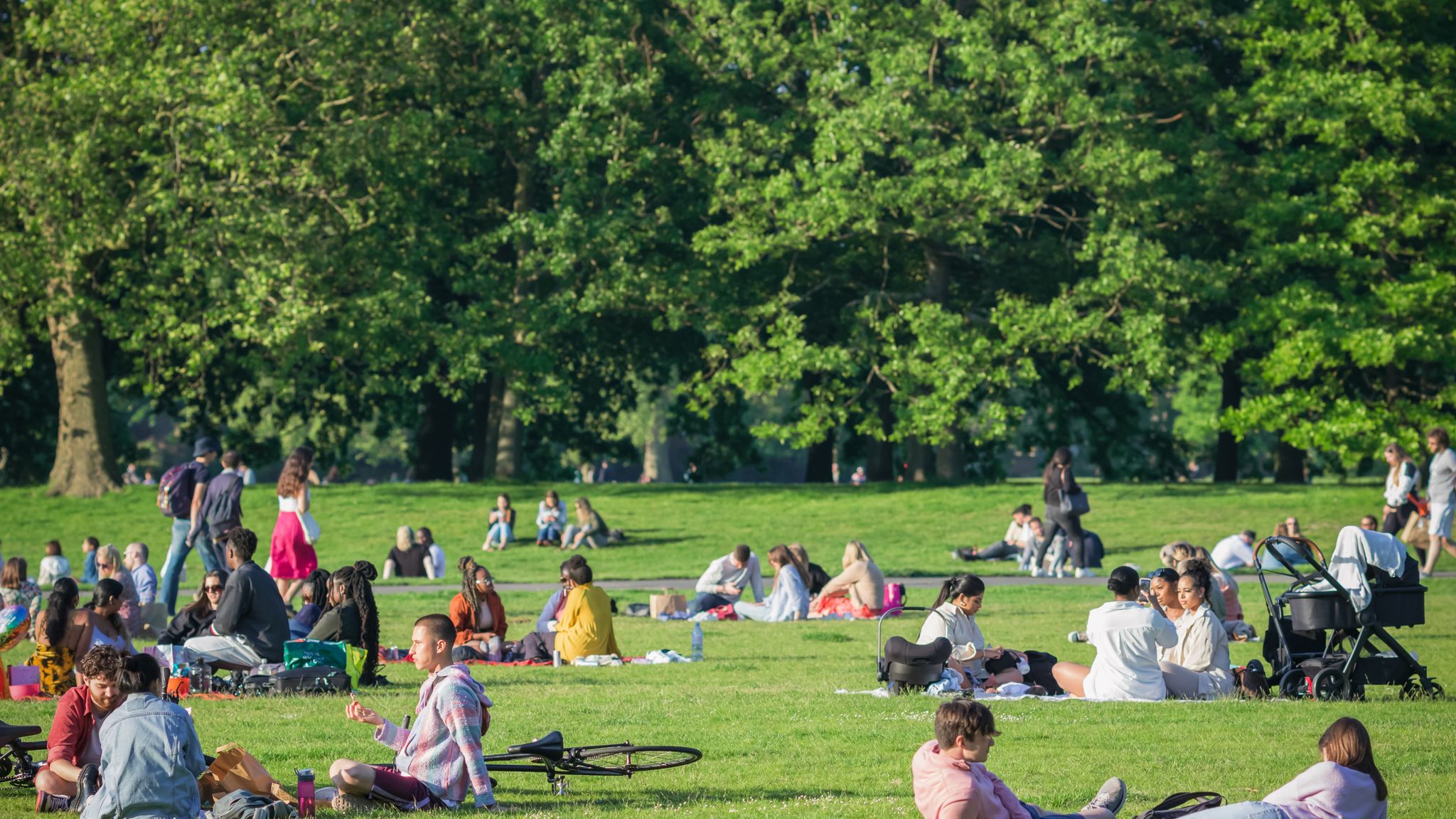 Hay fever sufferers have it worse today than in 1990s - here's why | UK ...