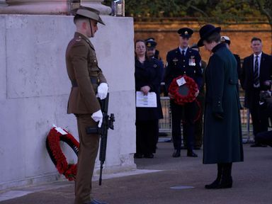 Princess Anne - The Latest News from the UK and Around the World | Sky News