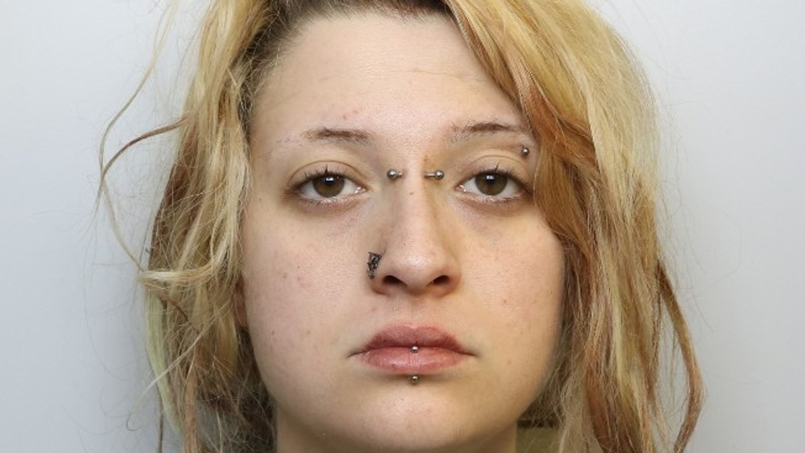 Woman admits being in charge of dangerously out of control XL bully ...