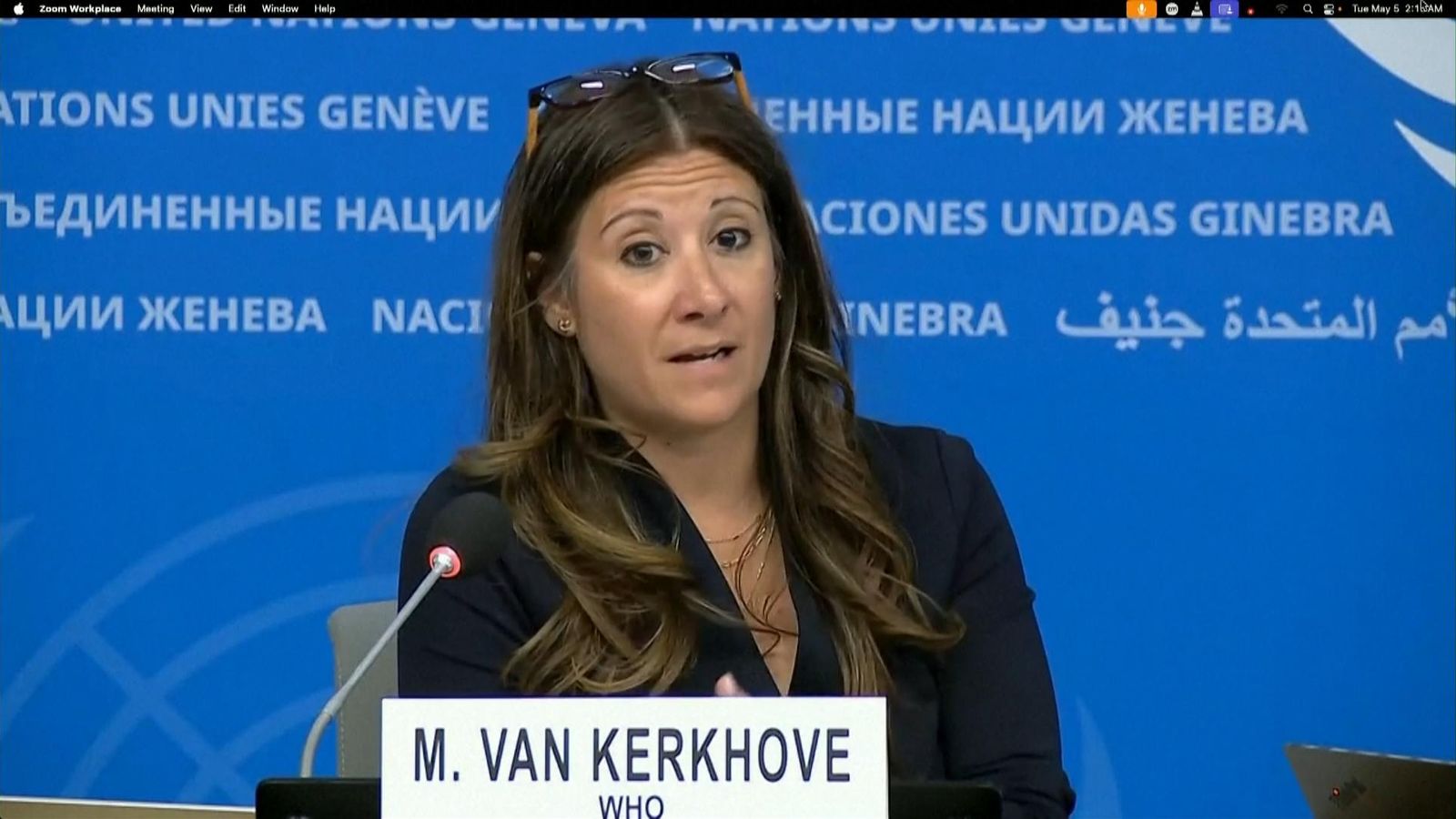 WHO gives update on hantavirus outbreak: 'Human-to-human transmission ...