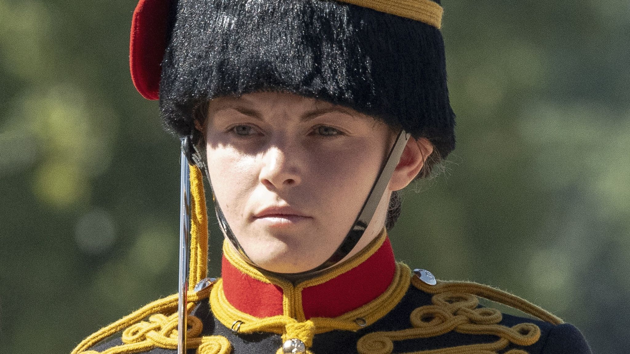 Soldier who died falling from horse at Royal Windsor Show named as ...