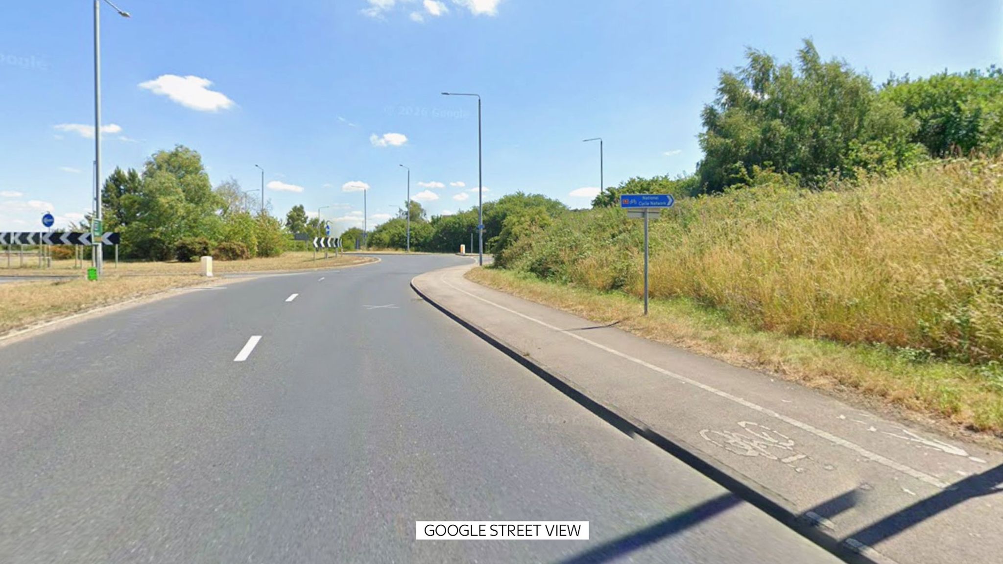 Human skeletal remains found in wooded area | UK News | Sky News