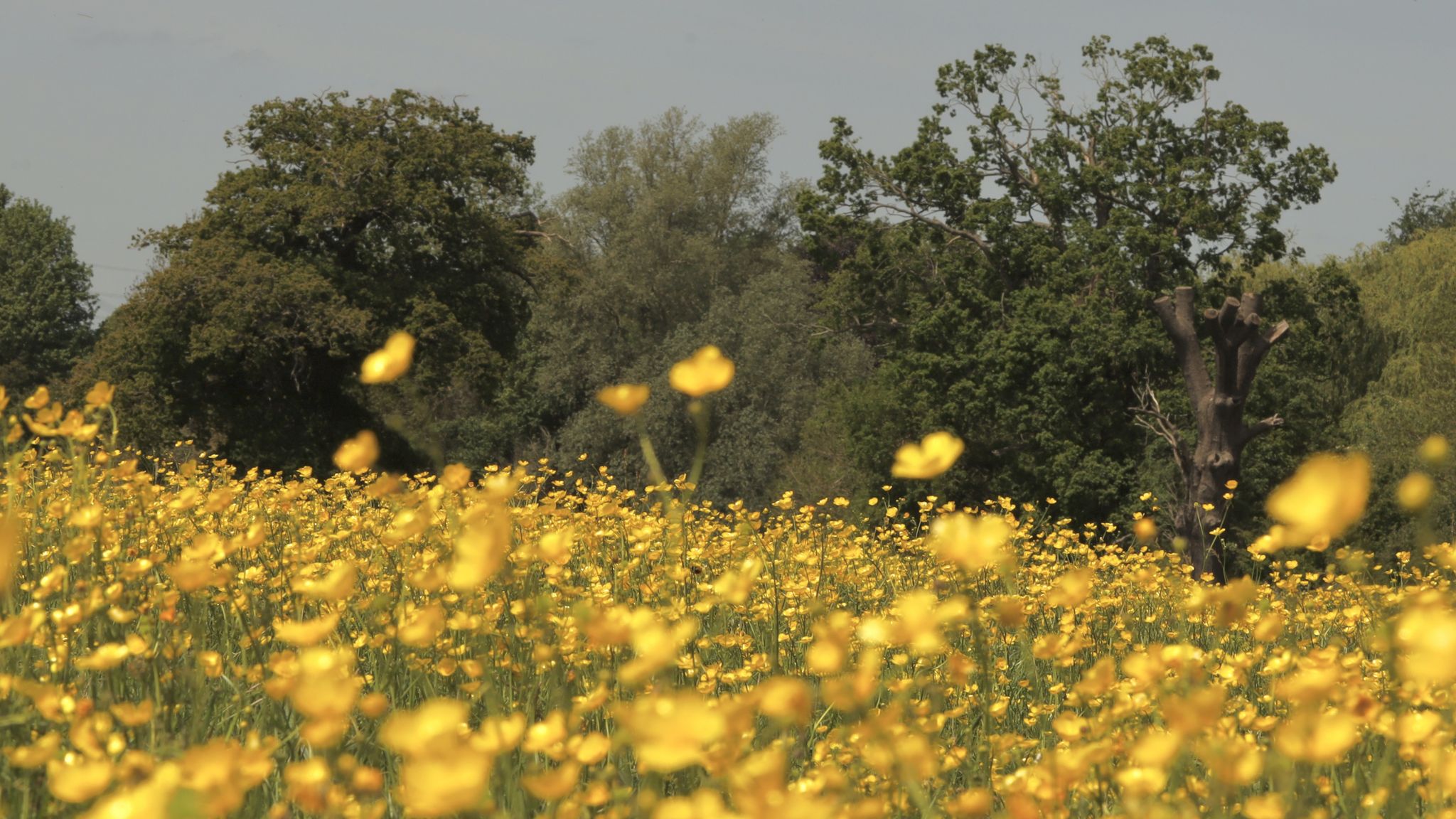 UK weather: Temperatures to fall as record-breaking heatwave comes to ...