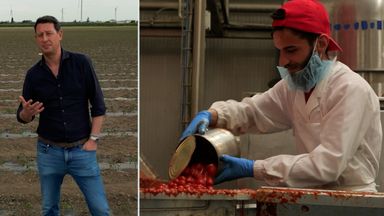 How the Iran war is impacting food production lines across Europe ...