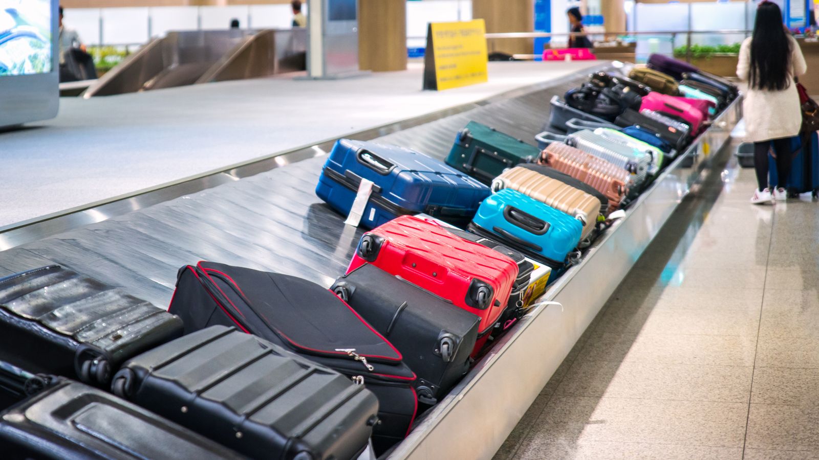 The £1,000 claim back: What to do if your holiday luggage goes missing ...