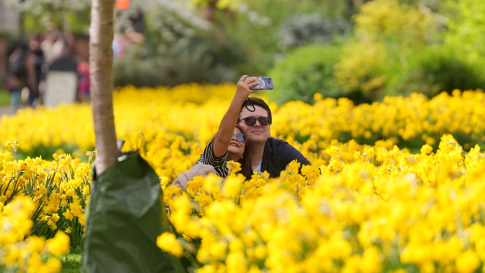 UK weather: Met Office warns of increased likelihood of summer heatwave ...