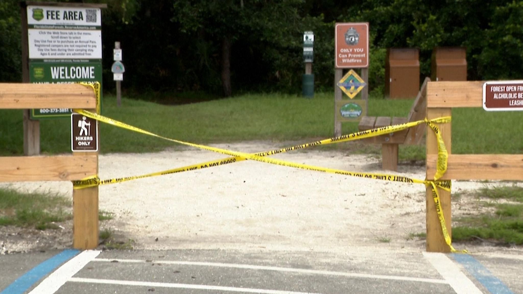 Florida: Woman dies after alligator bites off her arm | US News | Sky News