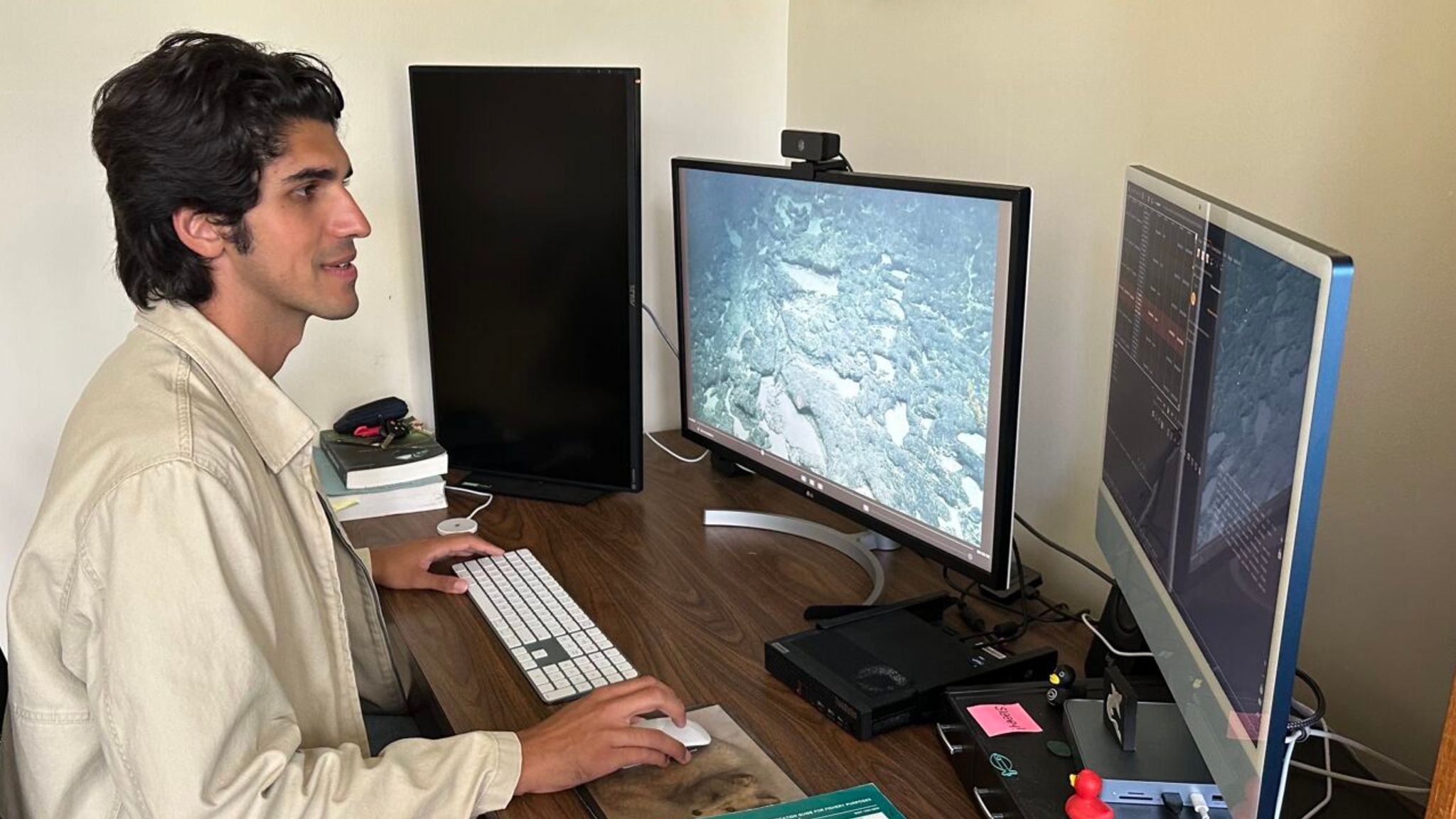 Rare shark studied in its natural habitat for first time - and it wasn ...