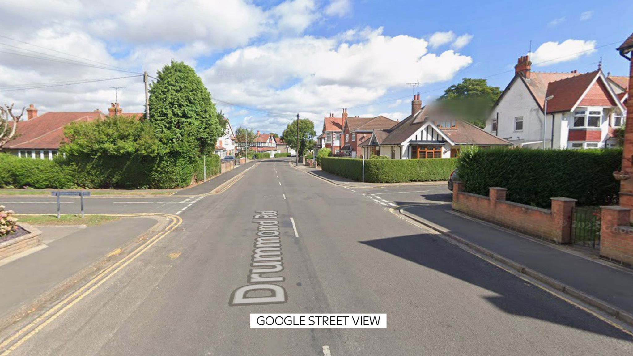 Man arrested after woman suffers facial injuries in suspected dog ...