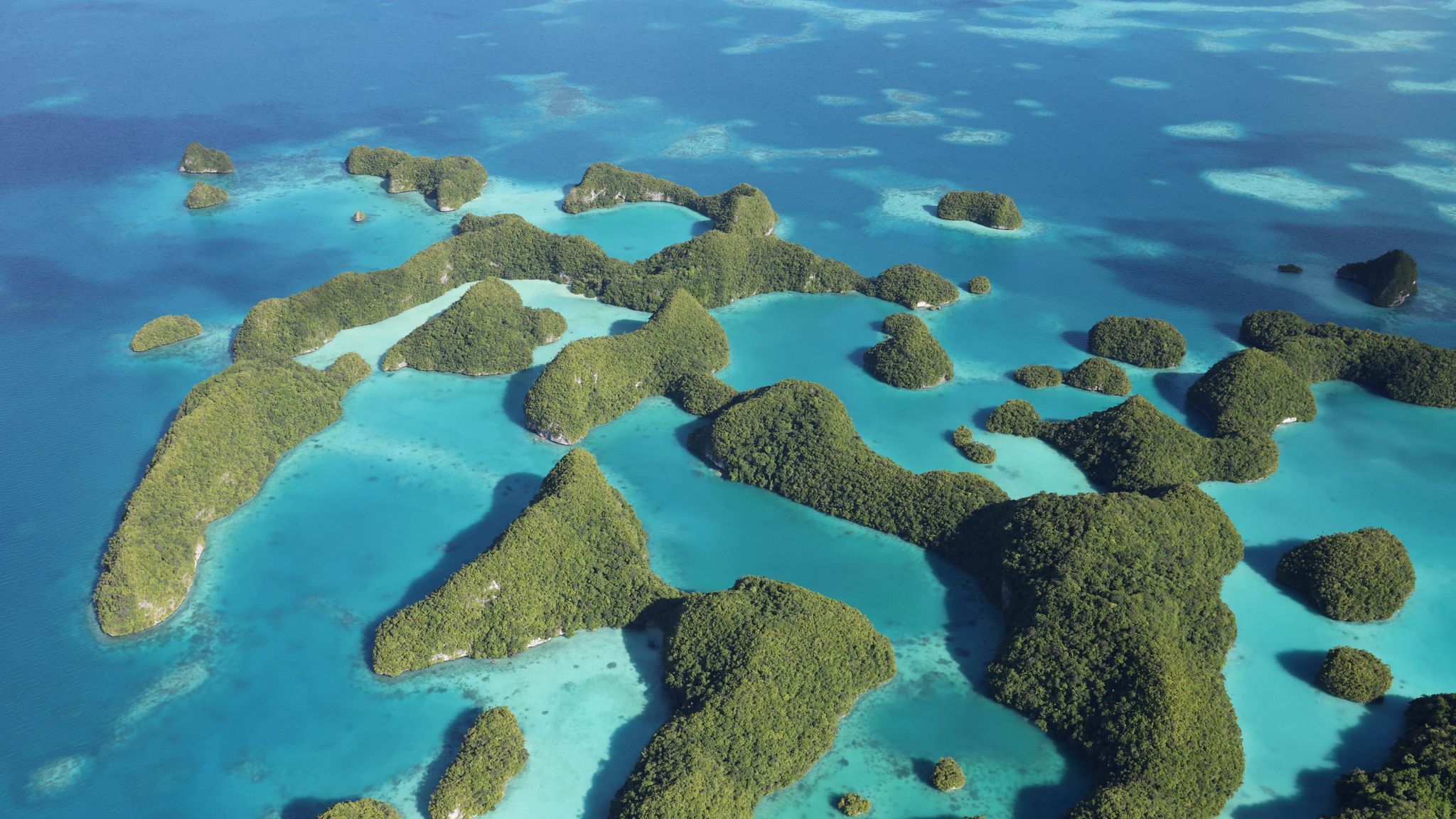 Billionaire to invest in ocean protection as UK and US scale back ...