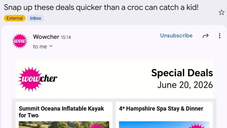 Wowcher apologises over email that referenced crocodile attack on boy ...