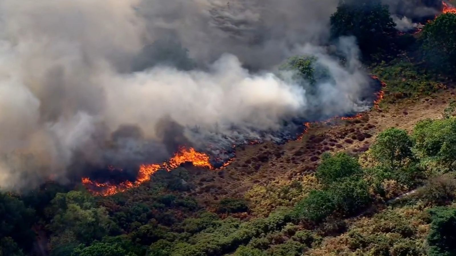 Wildfires latest: Major fire near Suffolk nuclear plant grows as wind ...